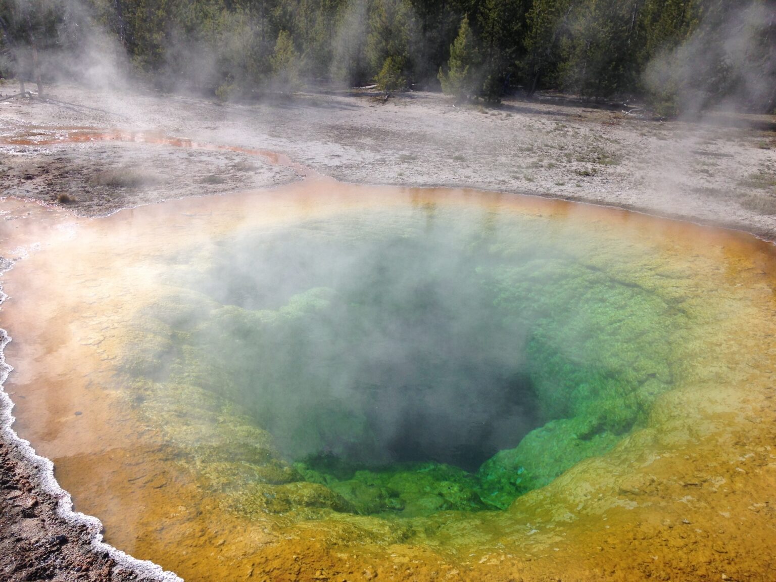 イエローストーン国立公園（ワイオミング州ほか） | WEST COASTER